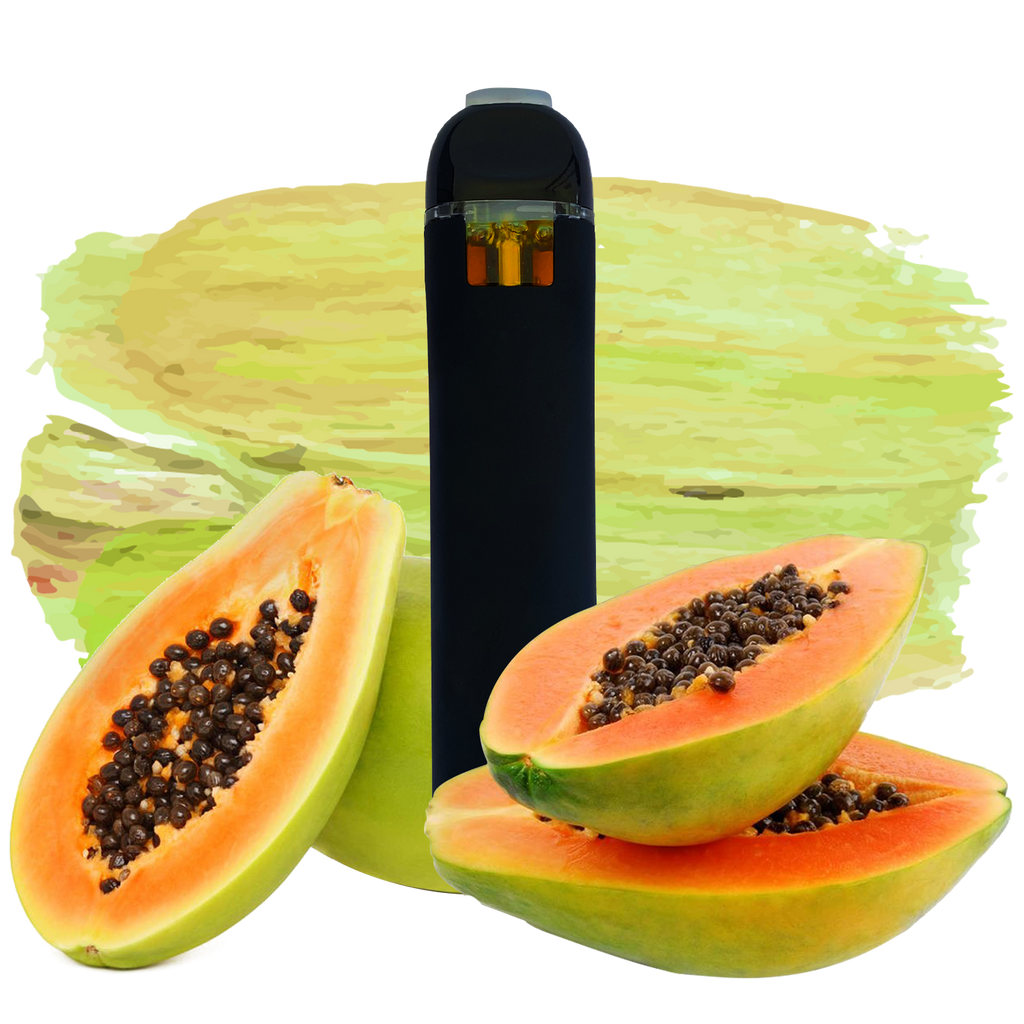 Experto — GodsbeardCult